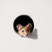 Realistic 3D Mouse Wall Sticker - Etsy