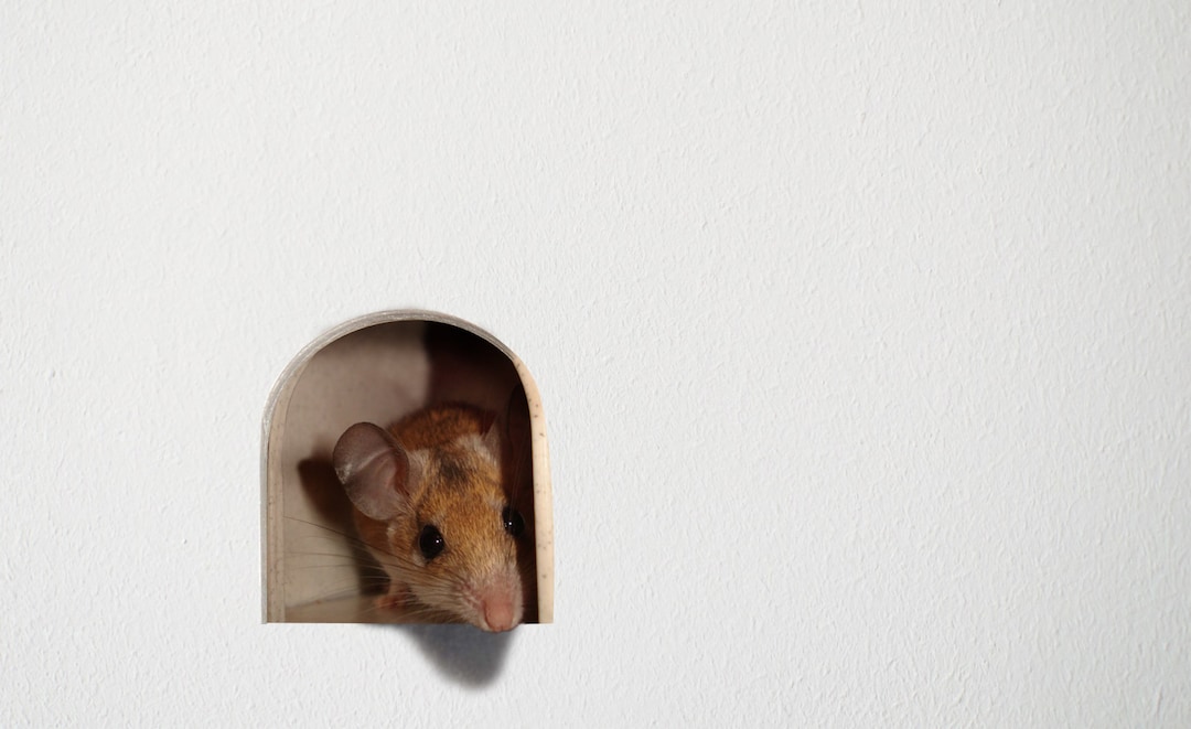 Realistic 3D Mouse Wall Sticker - Etsy