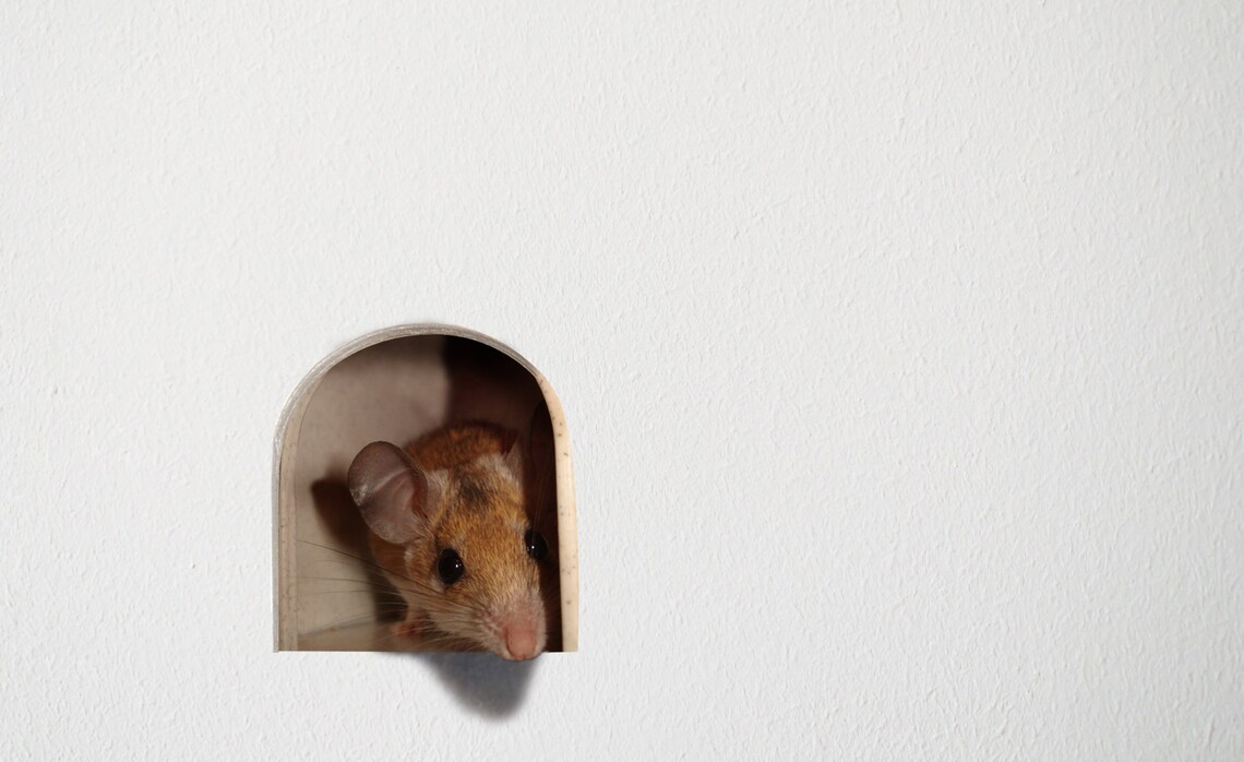 Realistic 3D Mouse Wall Sticker | Etsy