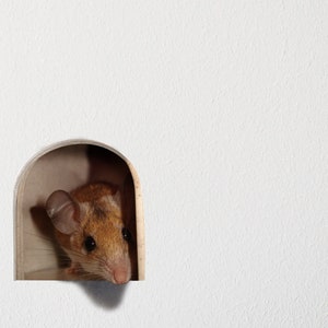 Realistic 3D Mouse Wall Sticker | Etsy