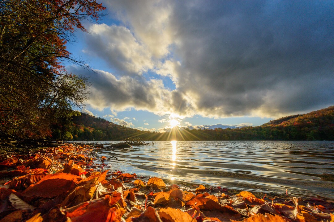 Sunset Fall Print Fine Art Print Art Decor Autumn - Etsy