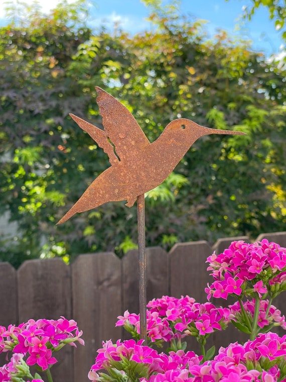 Hummingbird Garden Pick High Country Gardens | When You Grow A