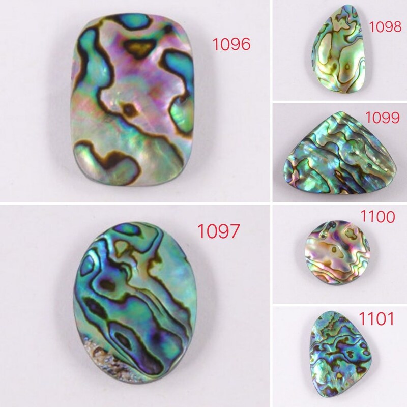 Abalone Shell - Etsy