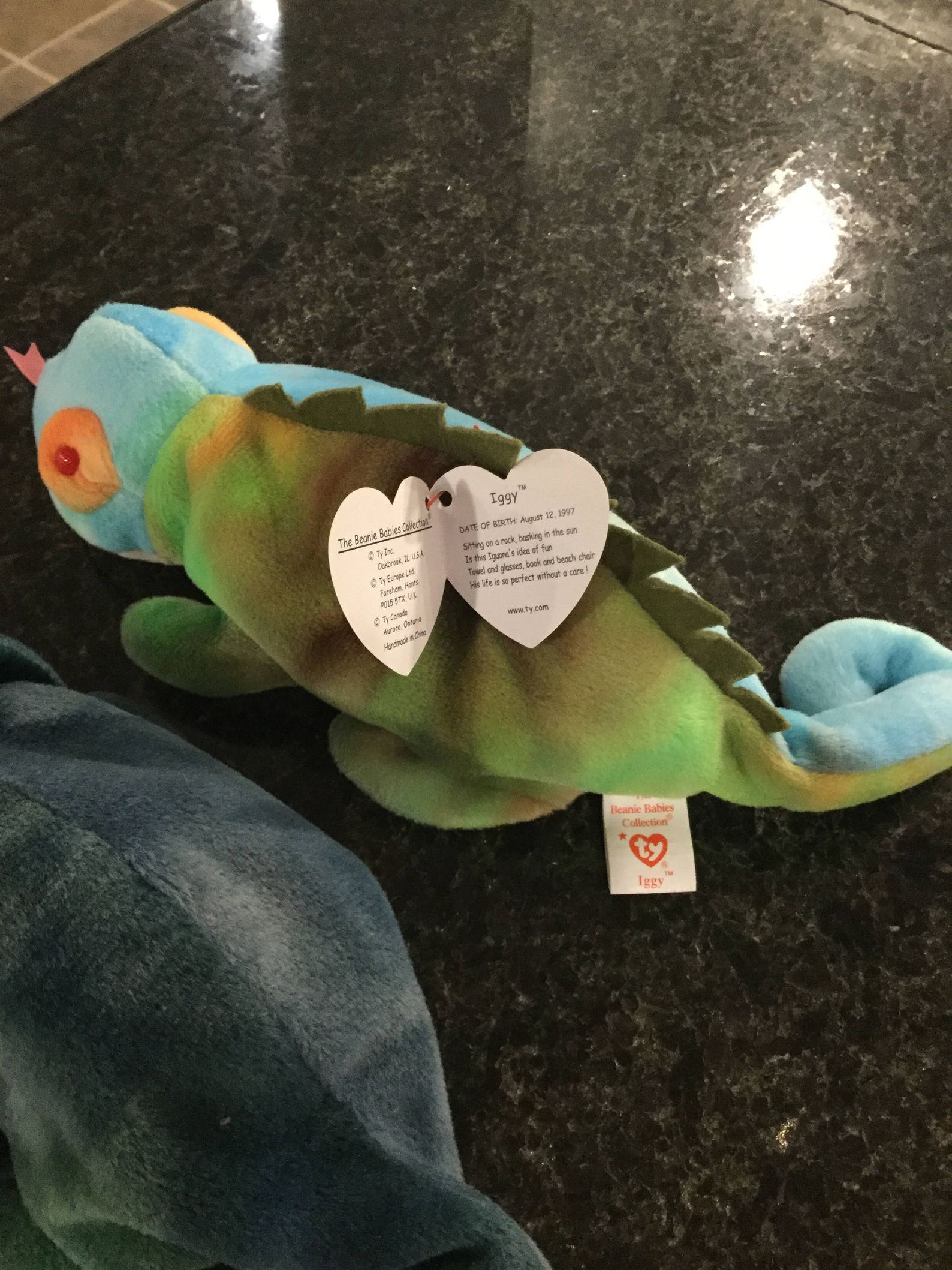 Iggy and Rainbow RARE Ty Beanie Babies Duo - Etsy