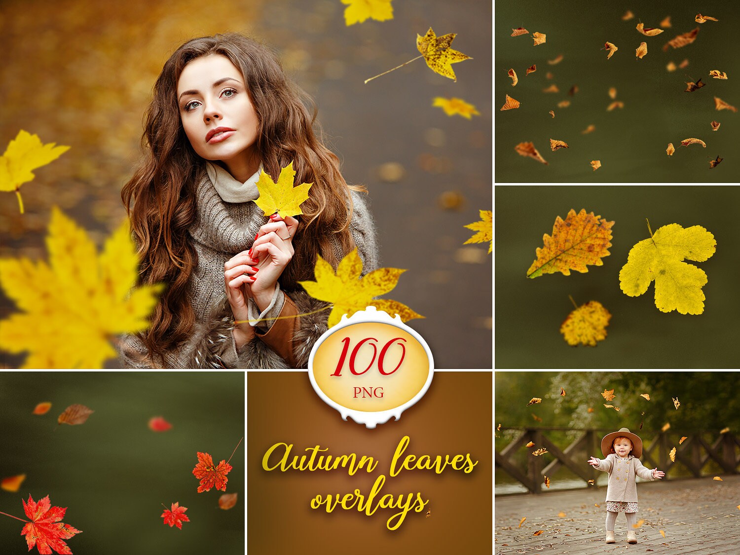 100 Autumn leaves overlays fall overlays falling leaves | Etsy