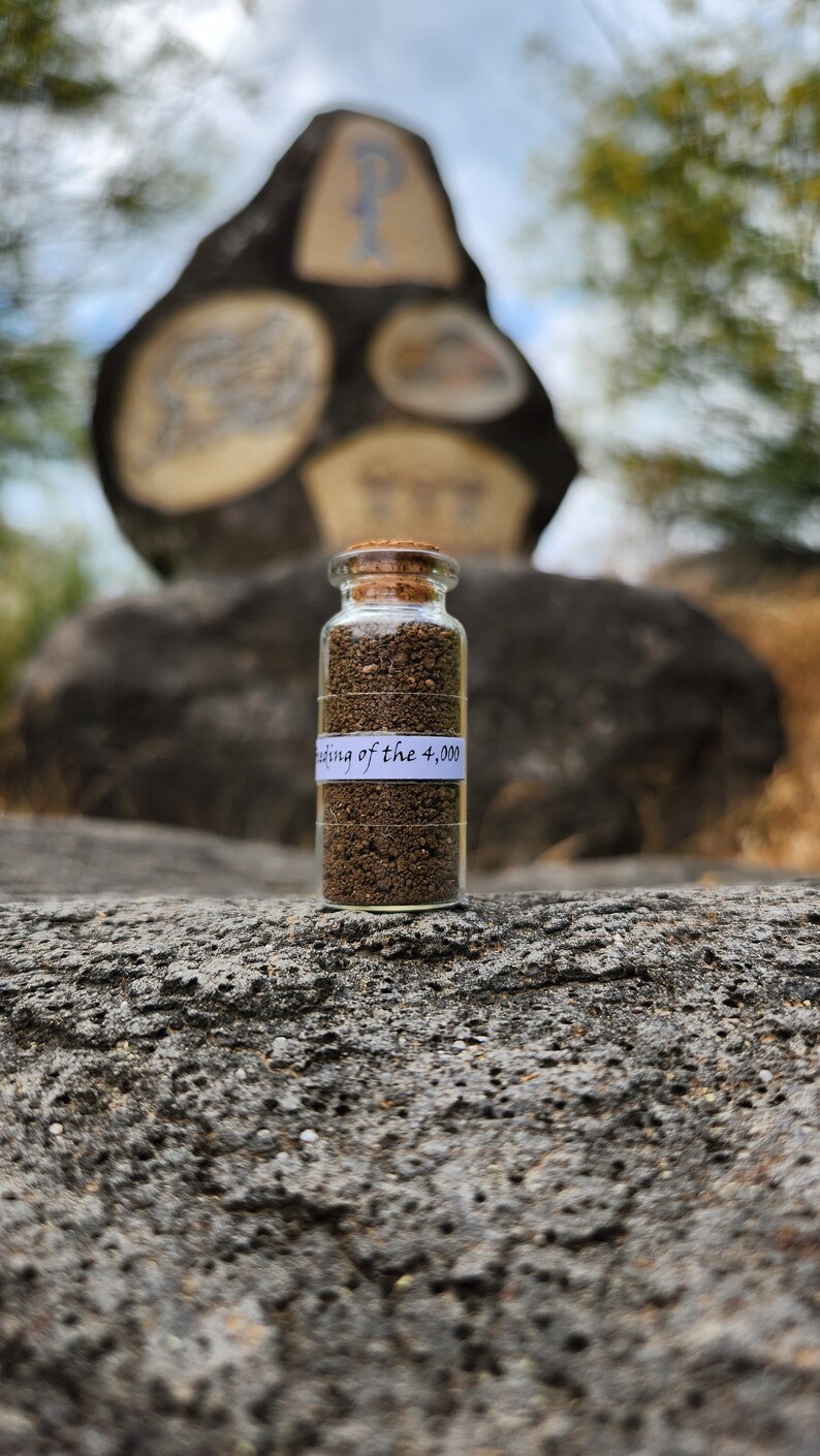 Biblical Feeding of the 4000 Sand Jesus Christ Miracle Sea - Etsy