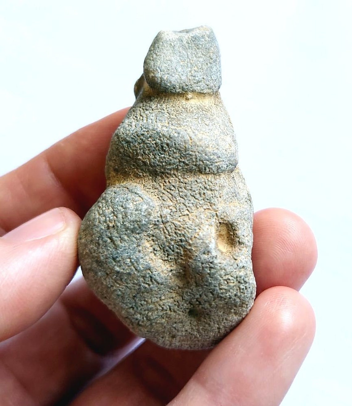 Ancient Fossil - Tethys Ocean - Mesozoic Era - Crater Ramon - Israel ...