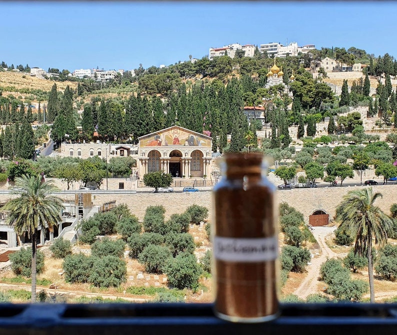 Gethsemane Garden Sand Soil Jesus Christ Jerusalem - Etsy