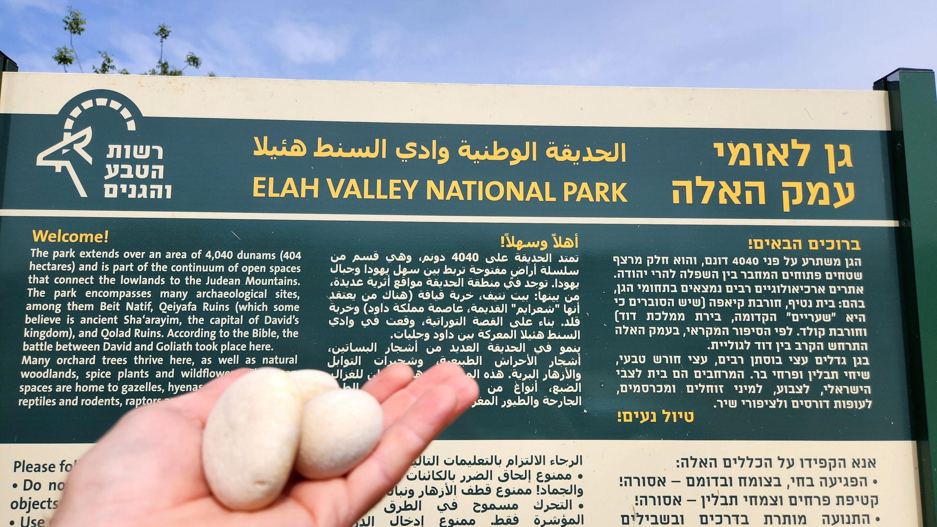 5 Smooth Sling Stones Elah Valley Stream Biblical David and Goliath ...
