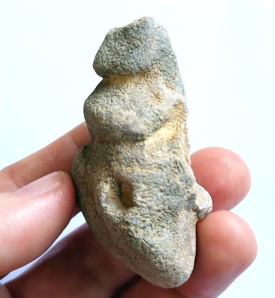 Ancient Fossil - Tethys Ocean - Mesozoic Era - Crater Ramon - Israel ...