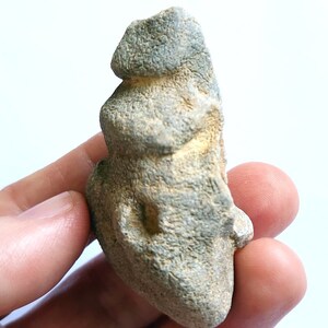 Ancient Fossil - Tethys Ocean - Mesozoic Era - Crater Ramon - Israel ...