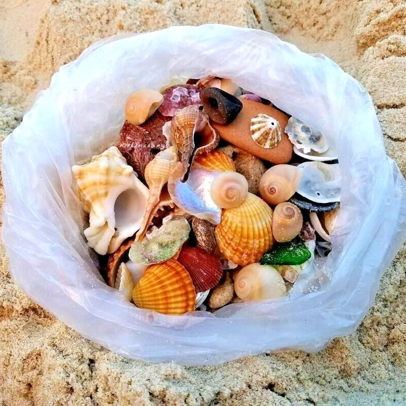 Art Pottery Surfing - Etsy