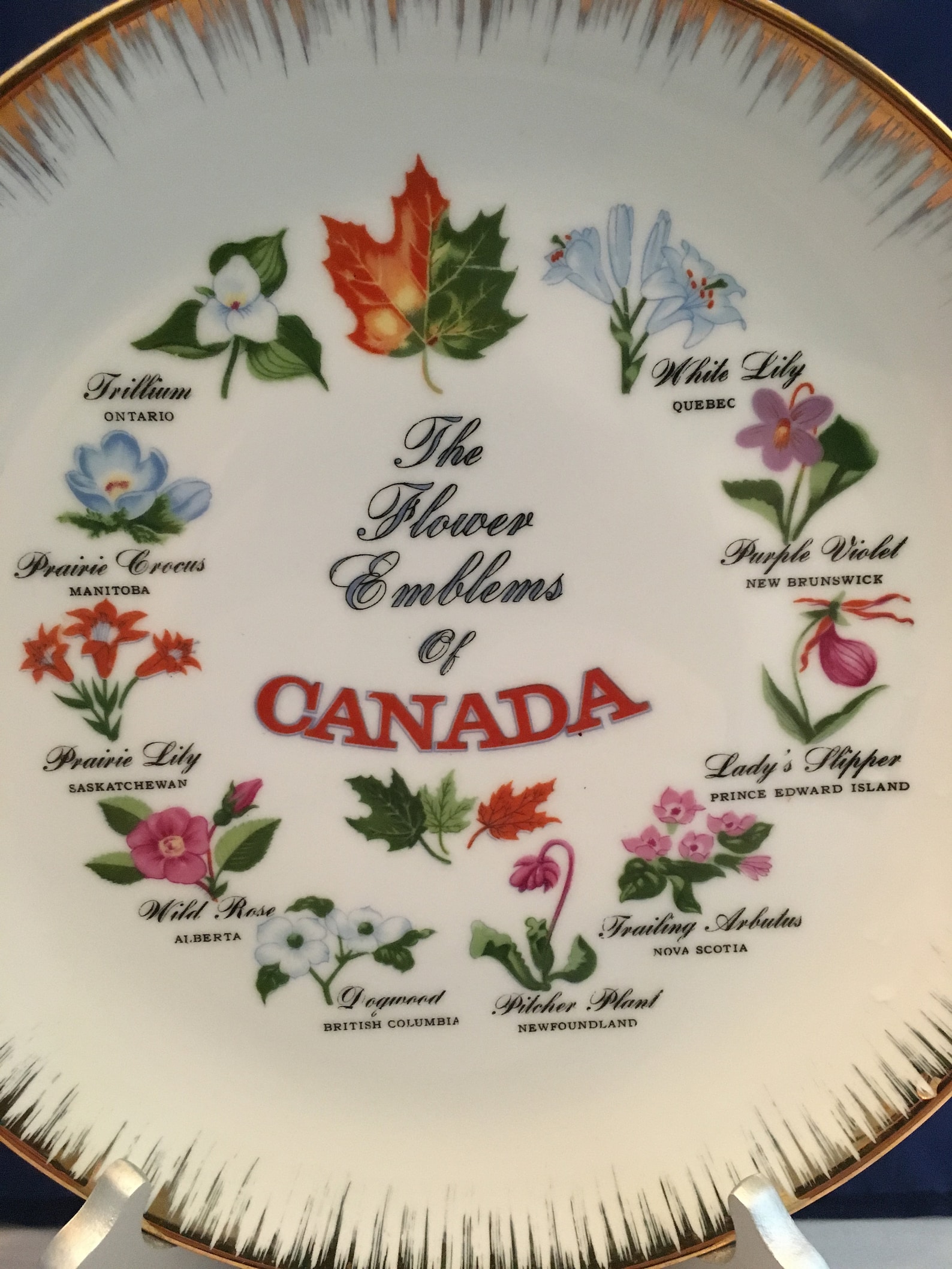 The Flower Emblems of Canada Collector Plate GC Fine China Vintage ...