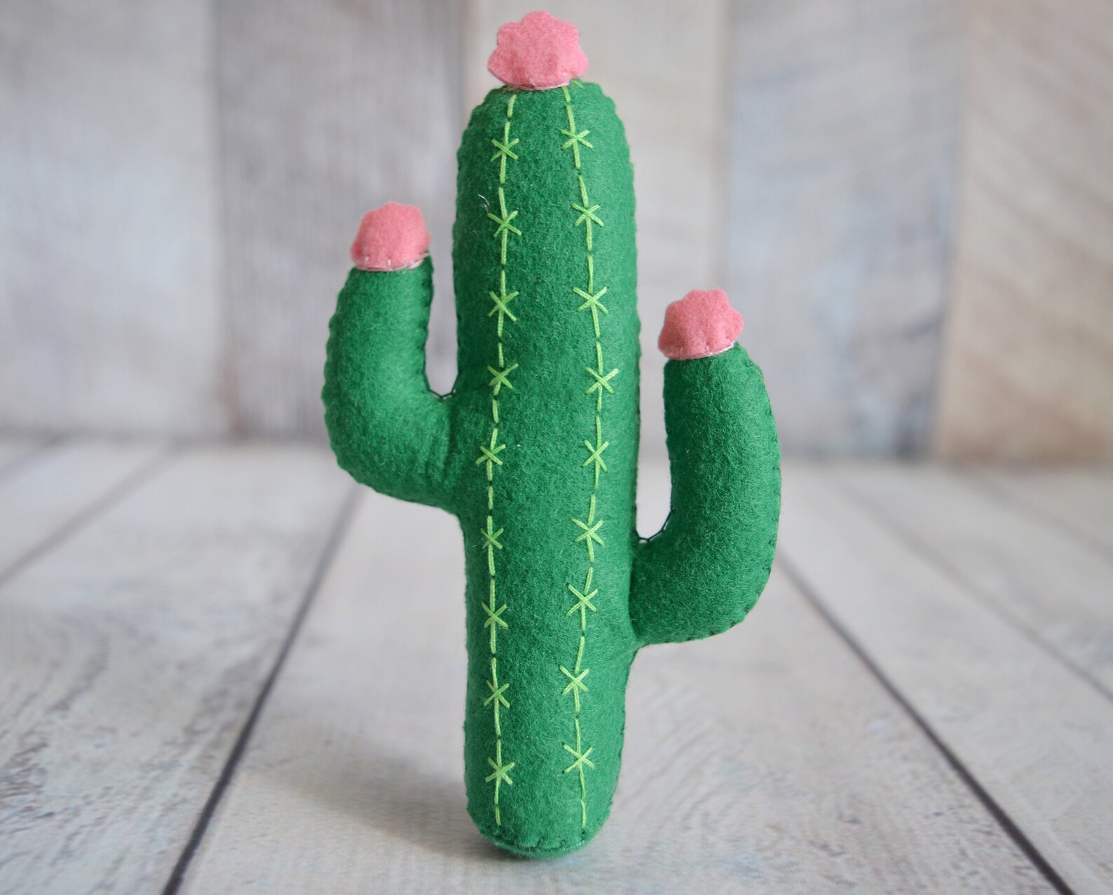 Felt Stuffed Cactus Toy Succulent Décor Toddler Gift Baby | Etsy