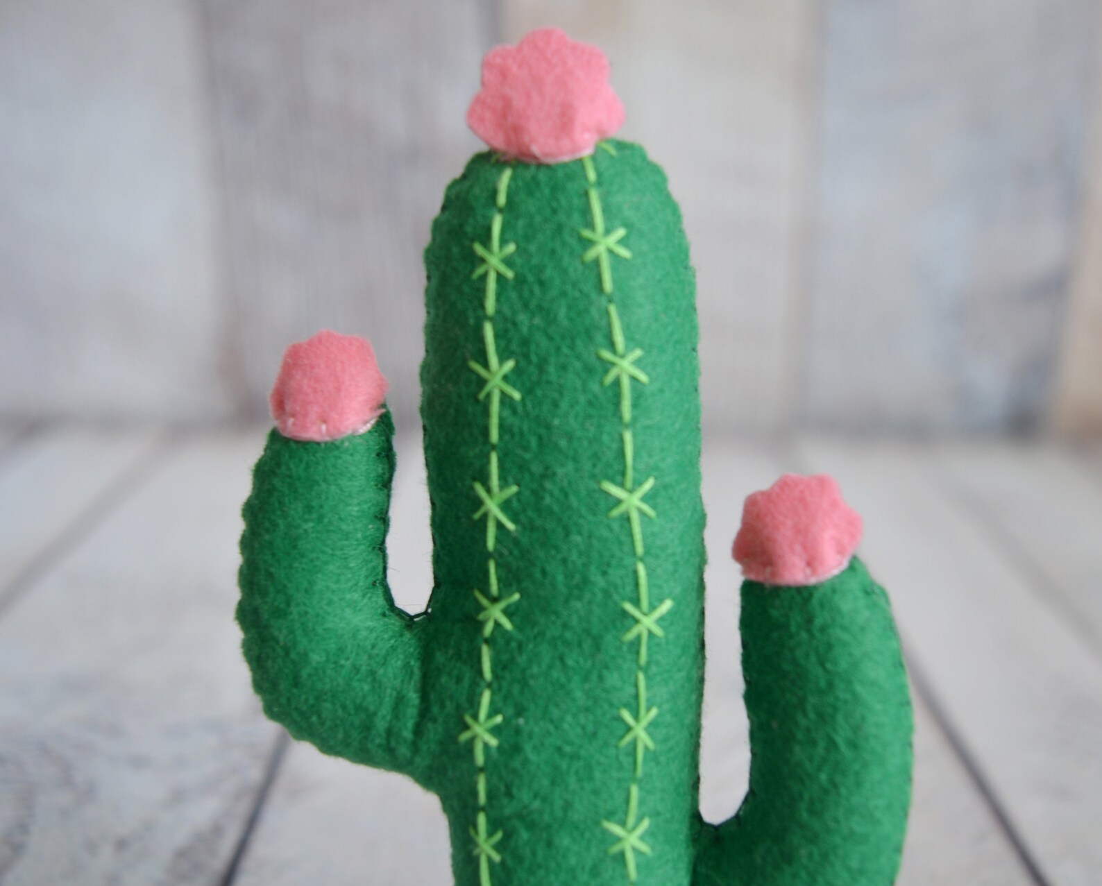 Felt Stuffed Cactus Toy Succulent Décor Toddler Gift Baby | Etsy