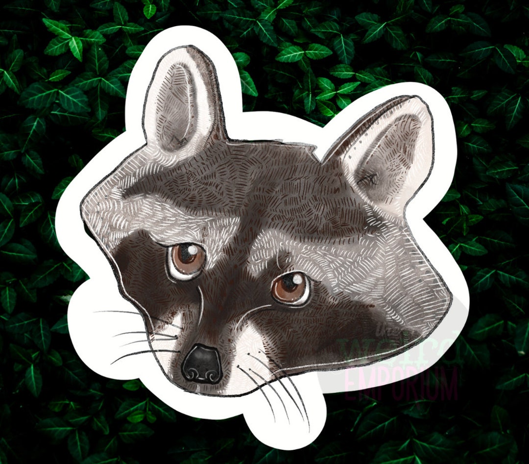 3 Racoon Sticker / Woodland Sticker / Cute Sticker / Fall Sticker ...