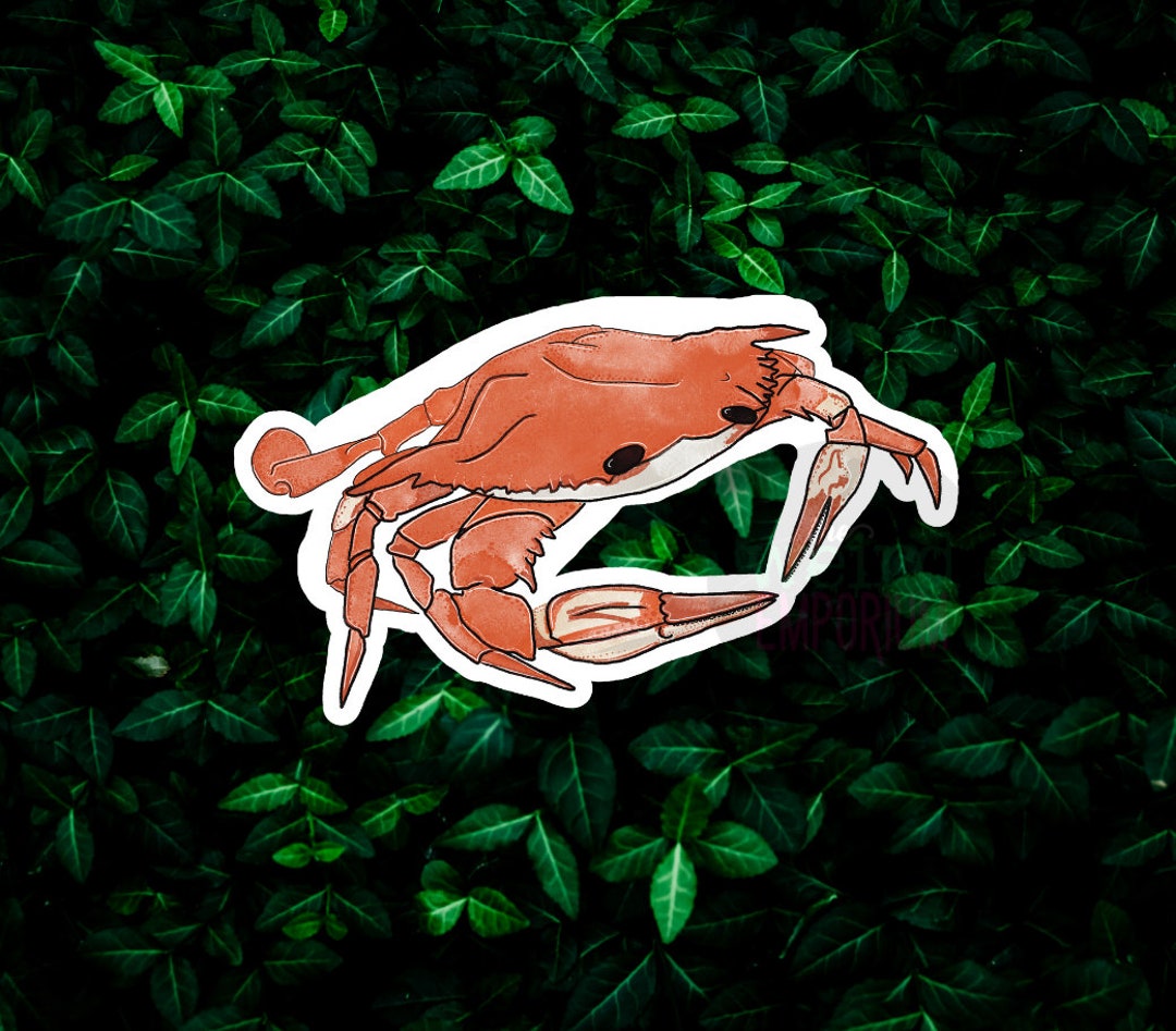 3 Steamed Crab Sticker, Blue Crab Sticker, Maryland Sticker, Baltimore ...