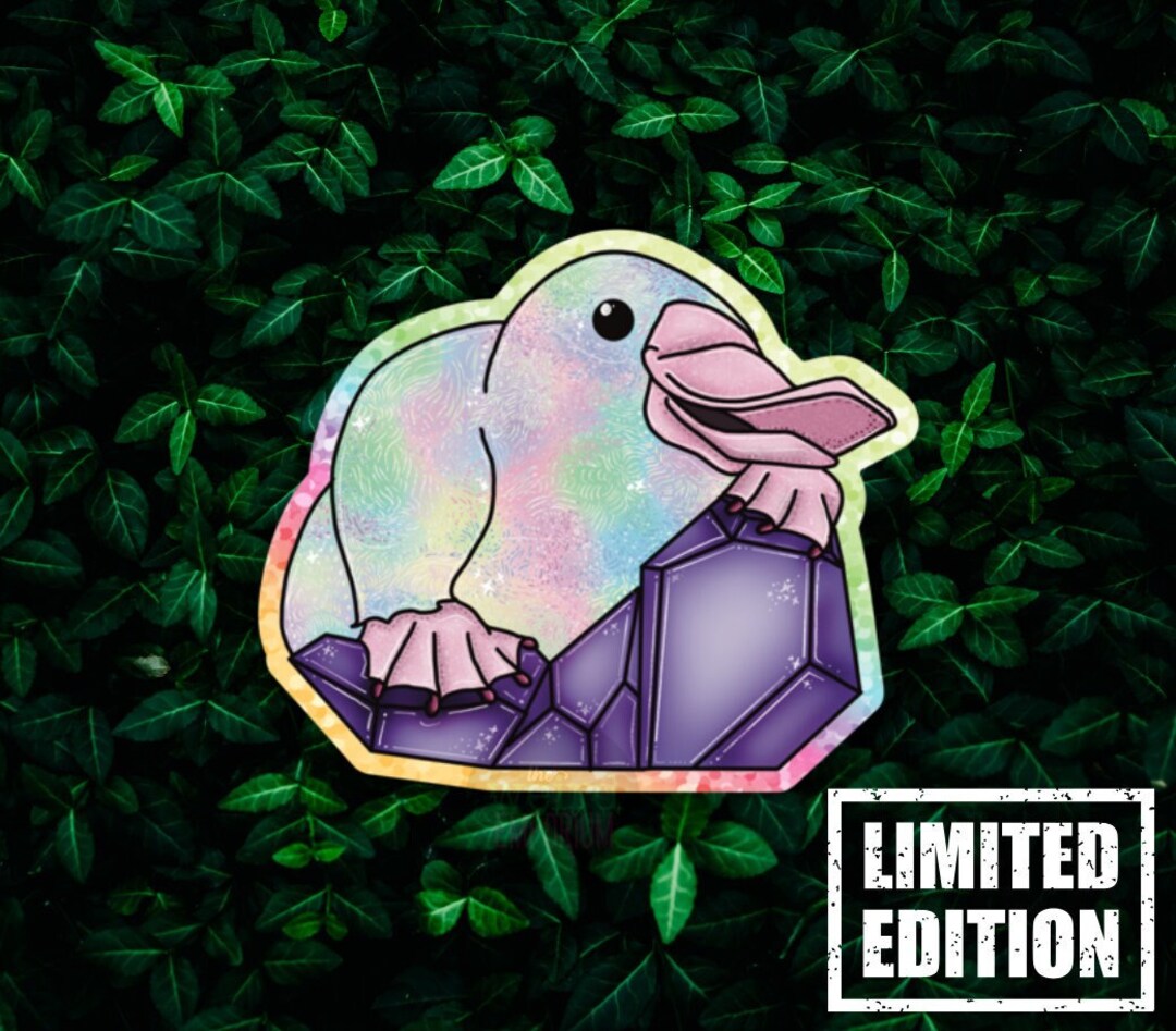 3 Platypus Sticker, Animal Sticker, Funny Playtpus Sticker, Punny ...