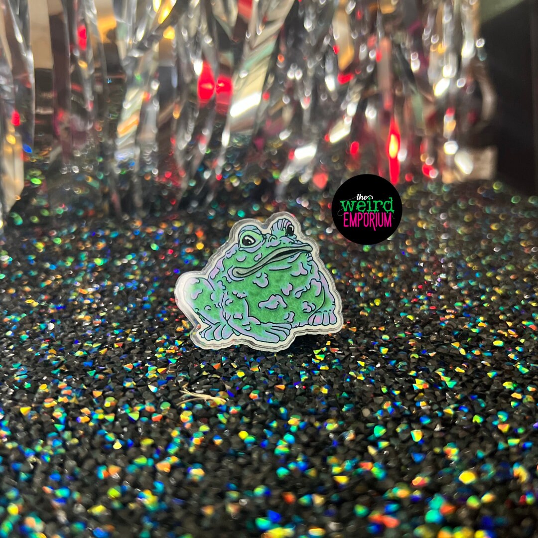 Toad Pin, Cottagecore Pin, Toadie Pin, Animal Pin, Frog and Toad Pin ...