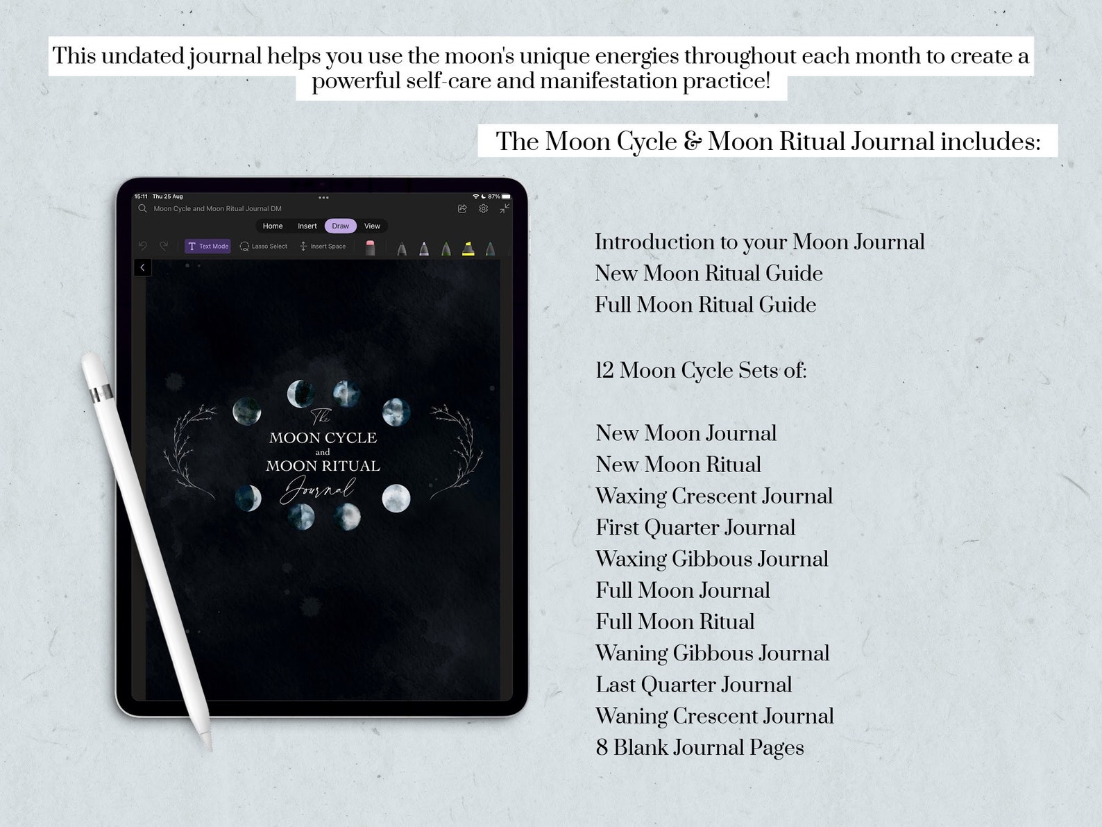 Onenote Witchy Planner Bundle, Witchy Planner, Tarot Journal, Moon ...