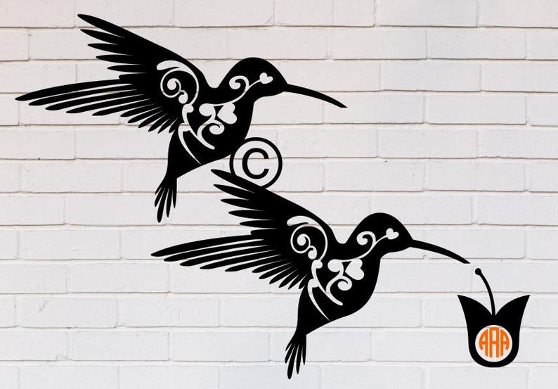 Colibrí svg pájaro svg colibrí clipart floral svg Flourish - Etsy España