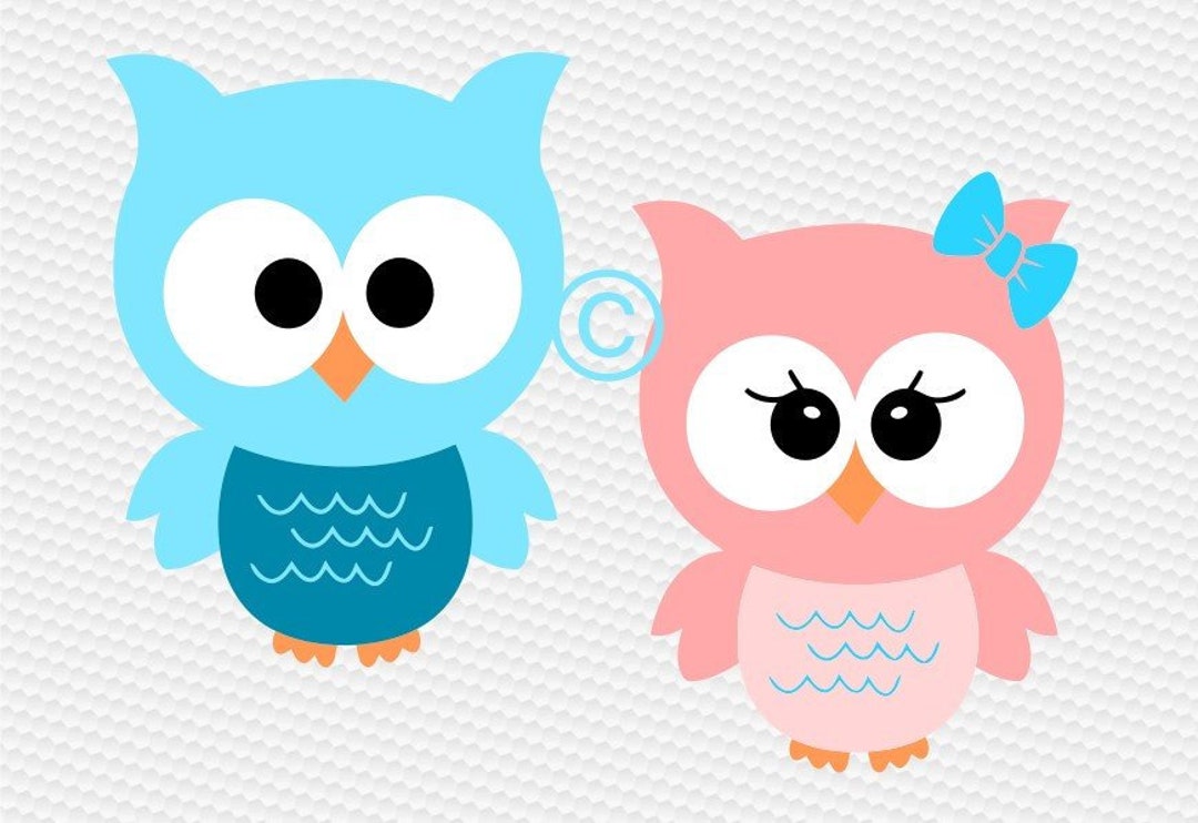 Owl Svg, Owl Clipart, Cute Owl Svg, Birthday Girl Svg, Birthday Boy Svg ...