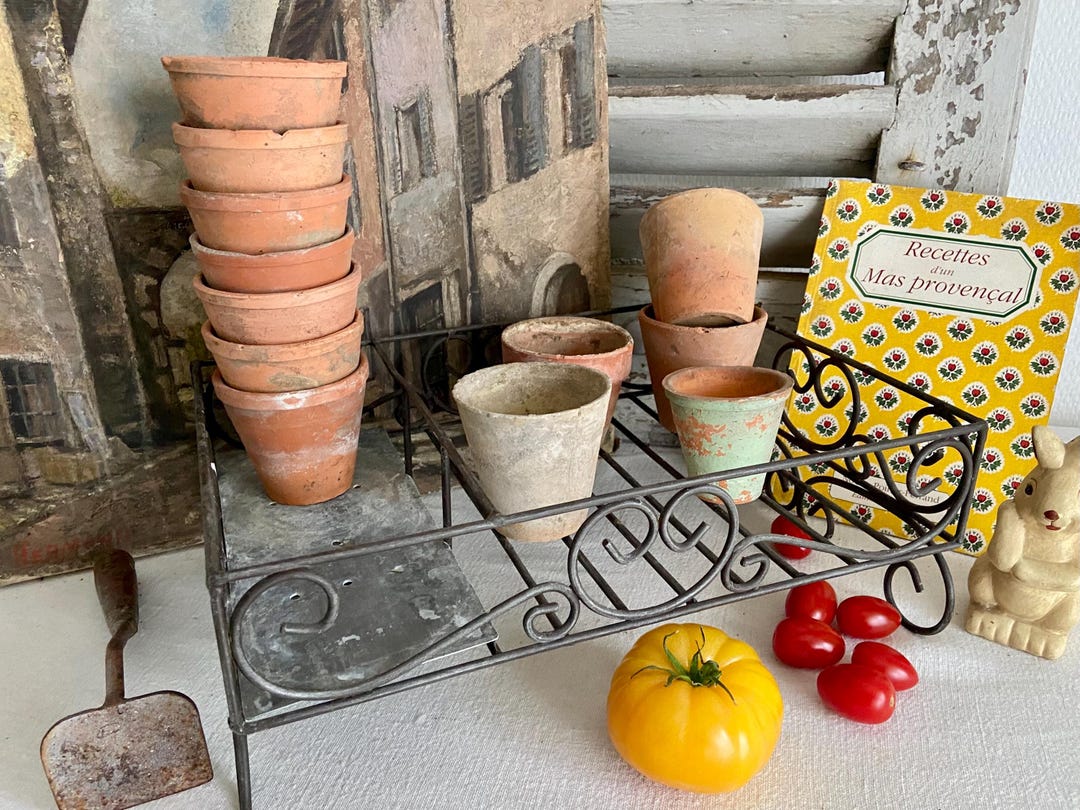 Vintage French Set of 12 Small Seedling Plant Pots, Beautifully ...