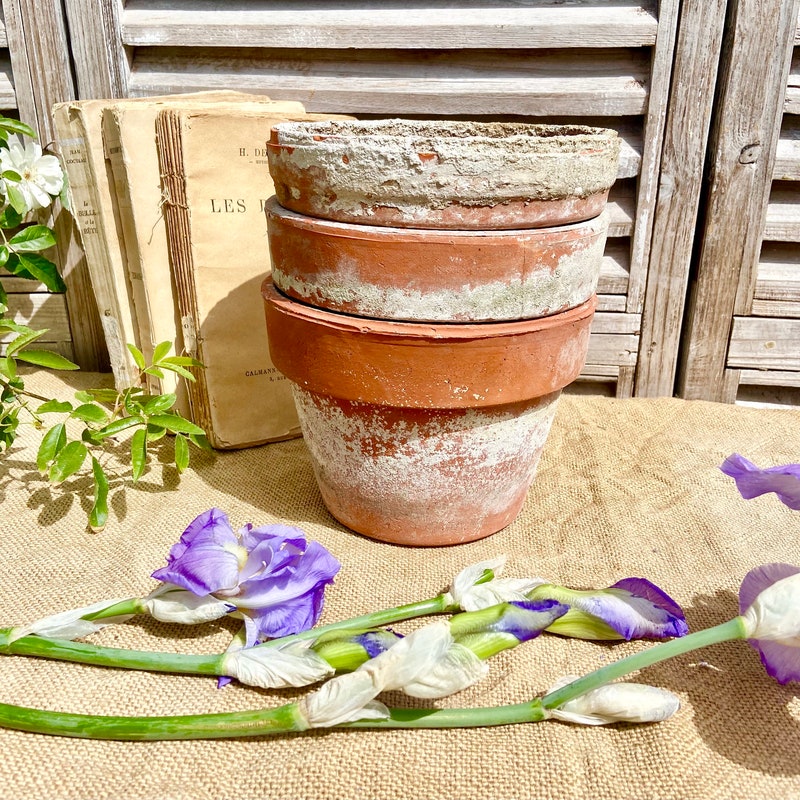 Aged Terracotta Pots - Etsy