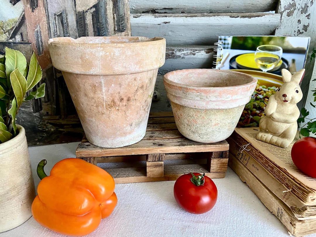 Vintage Terracotta Plant Pots, Set of 2 Lovely Weathered Terracotta ...