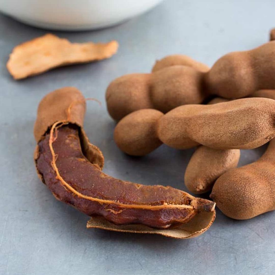 Tamarind Trees Tamarindus Indica - Etsy