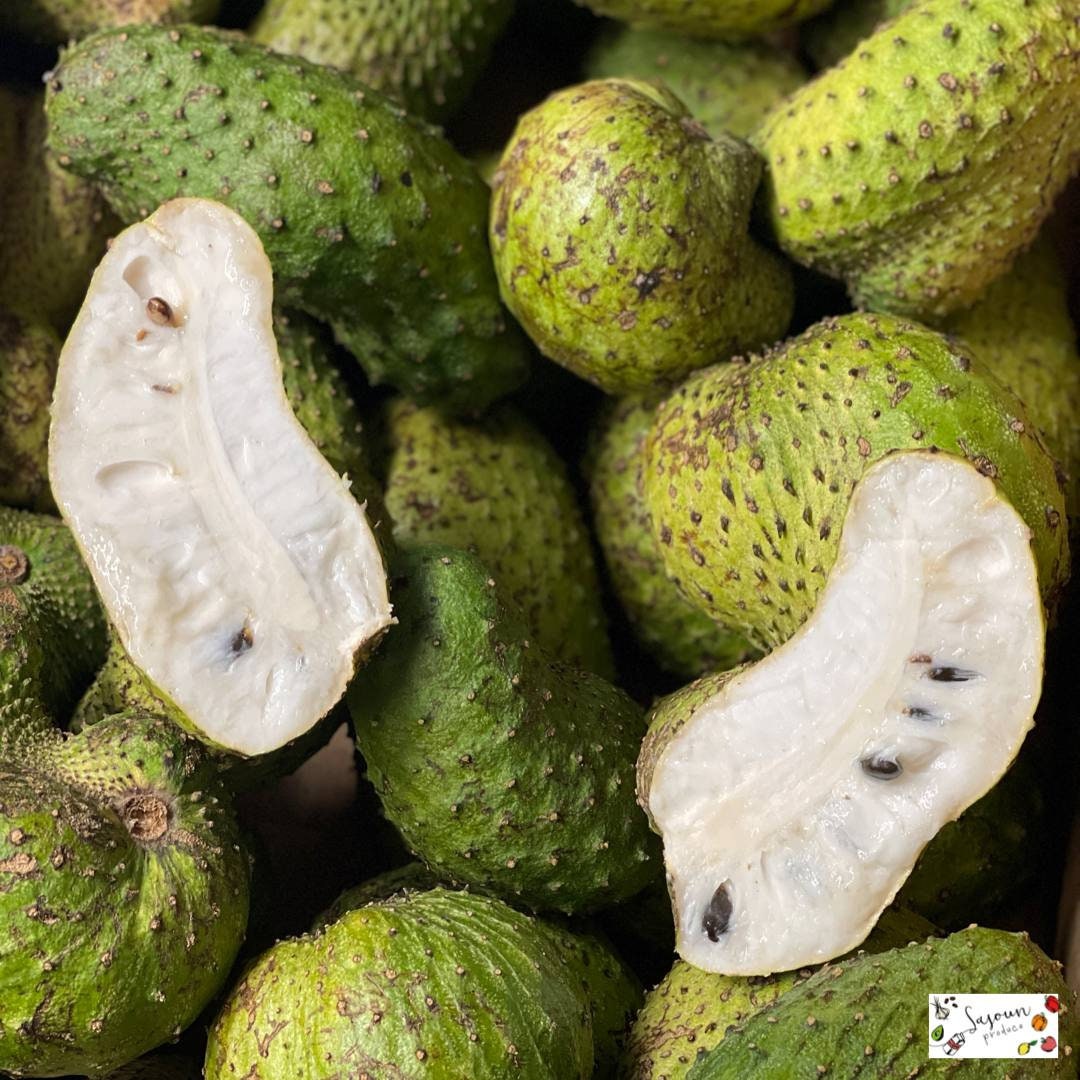 Grafted Soursop Graviola Guanabana Trees homestead - Etsy