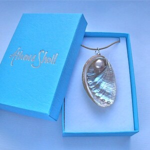 Ormer Shell, Pink, Pendant, Freshwater Pearl, Real Shell - Etsy