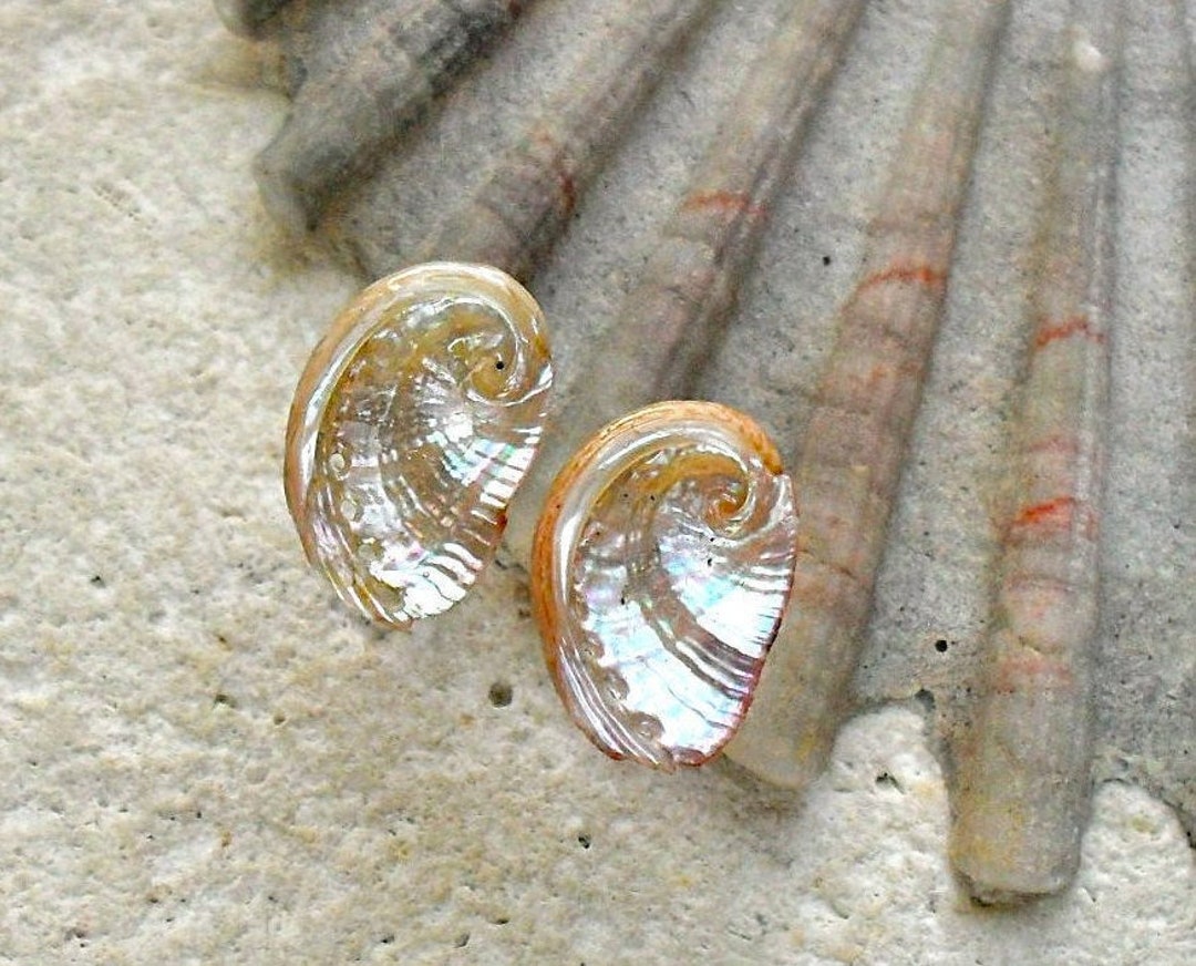 Real, Ormer Shell, Studs, Sterling Silver, Posts - Etsy