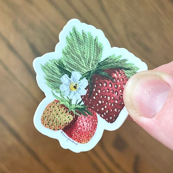 Strawberry Vinyl Sticker . Decal . Waterproof Dishwasher Safe - Etsy