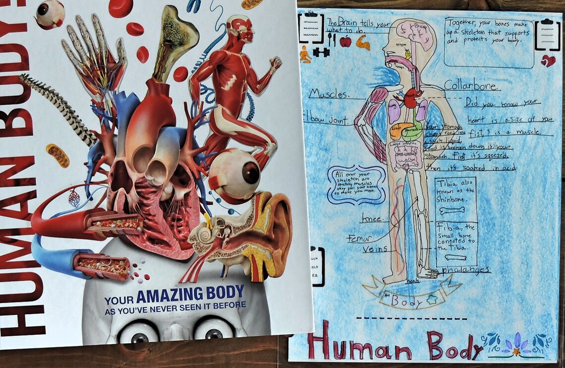 Creative Notebooking How-to Guide | Etsy