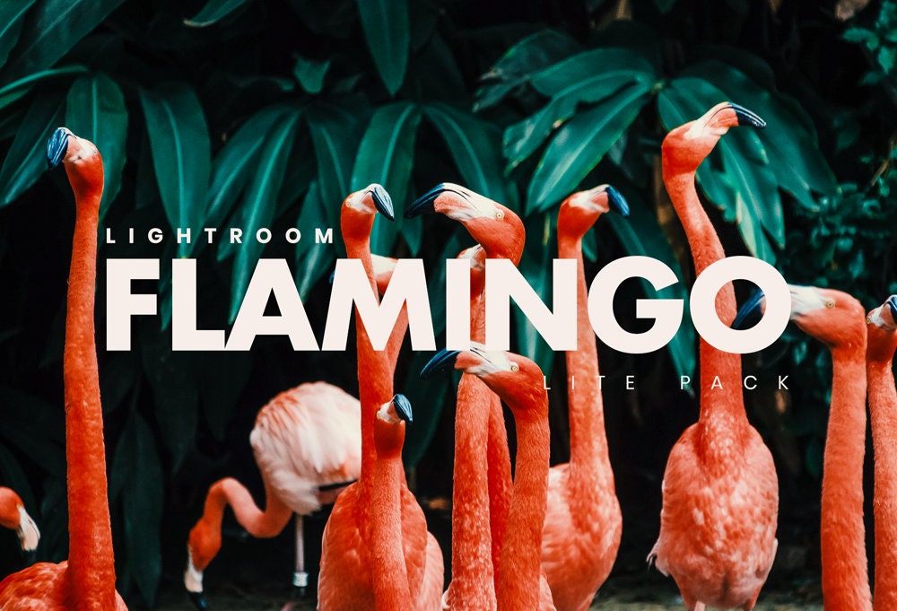 Lightroom Flamingo Preset Pack Mobile Influencer - Etsy