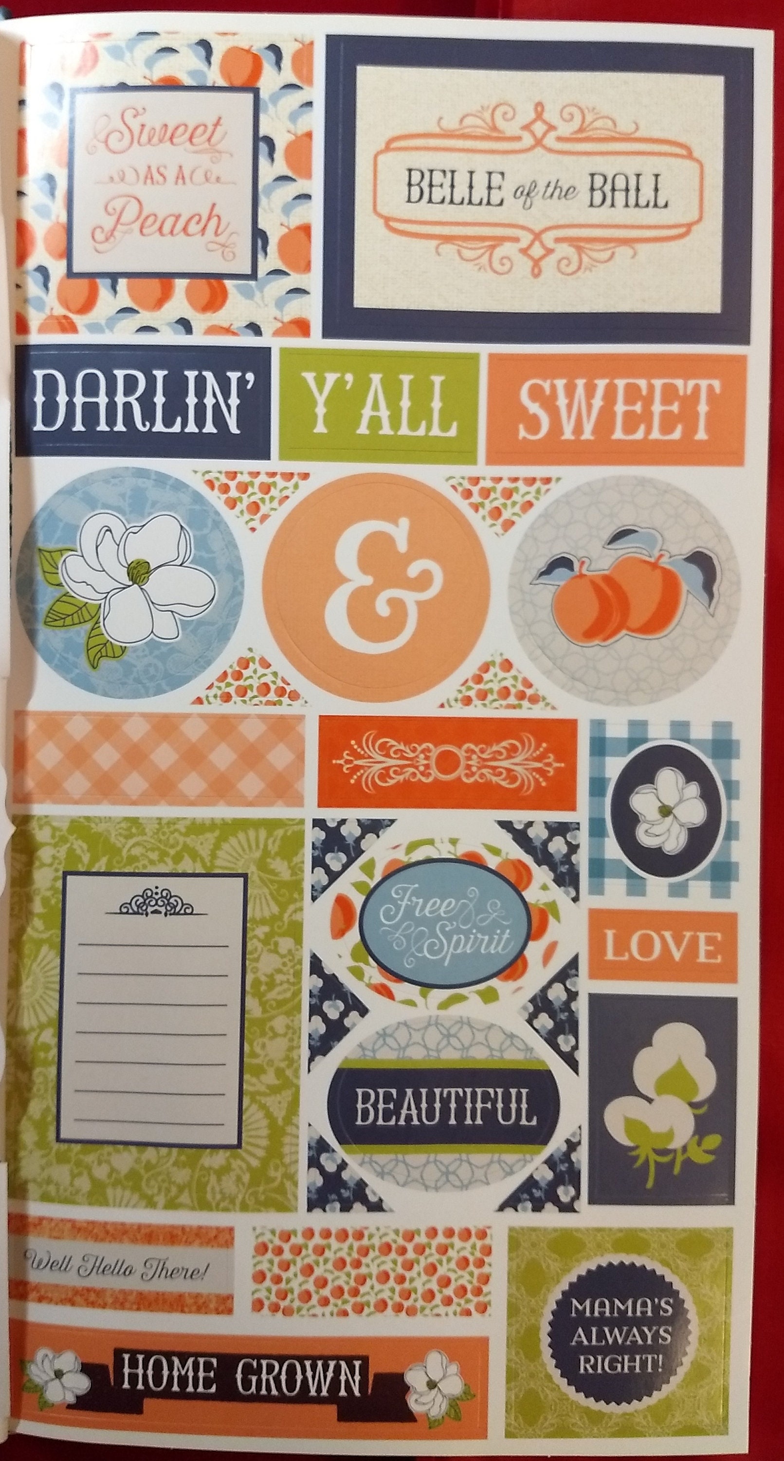 Recollections Scrapbook Album Kit 12X12 sweet Life - Etsy