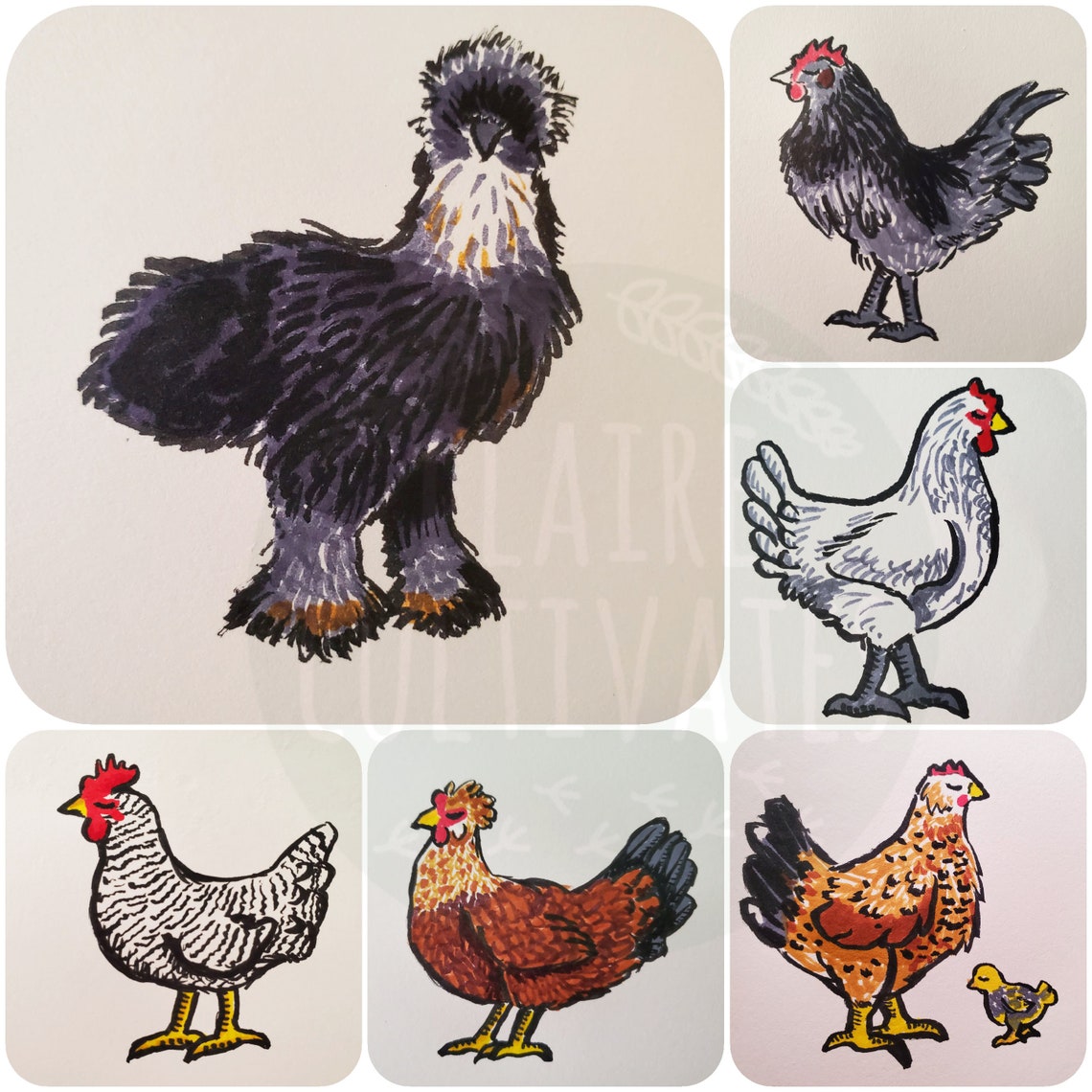 Custom Chicken Portrait Customized Chicken Brush Painting Cute Chicken ...