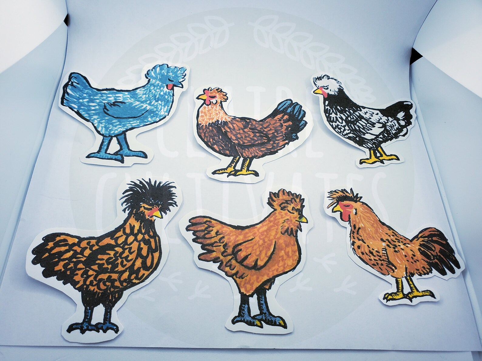 Chicken Stickers - Polish Chickens | Cute Chicken Doodle Stickers ...
