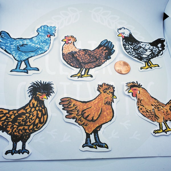 Polish Chicken - Etsy
