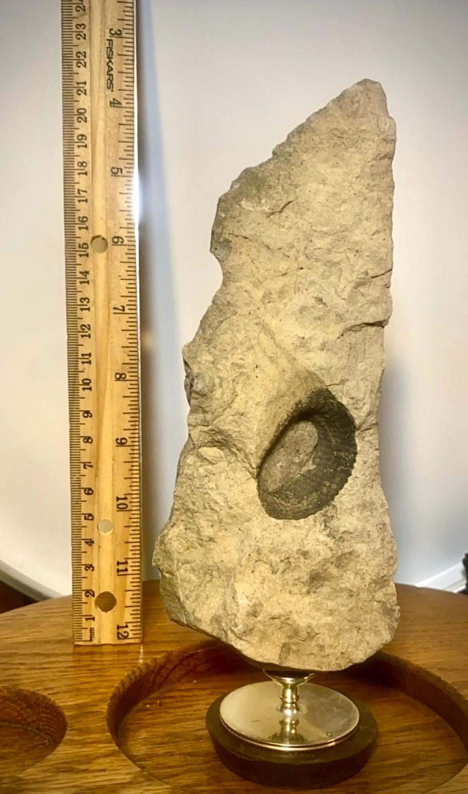 Native American Fossilized Axe Blade Scraper Multi Tool - Etsy