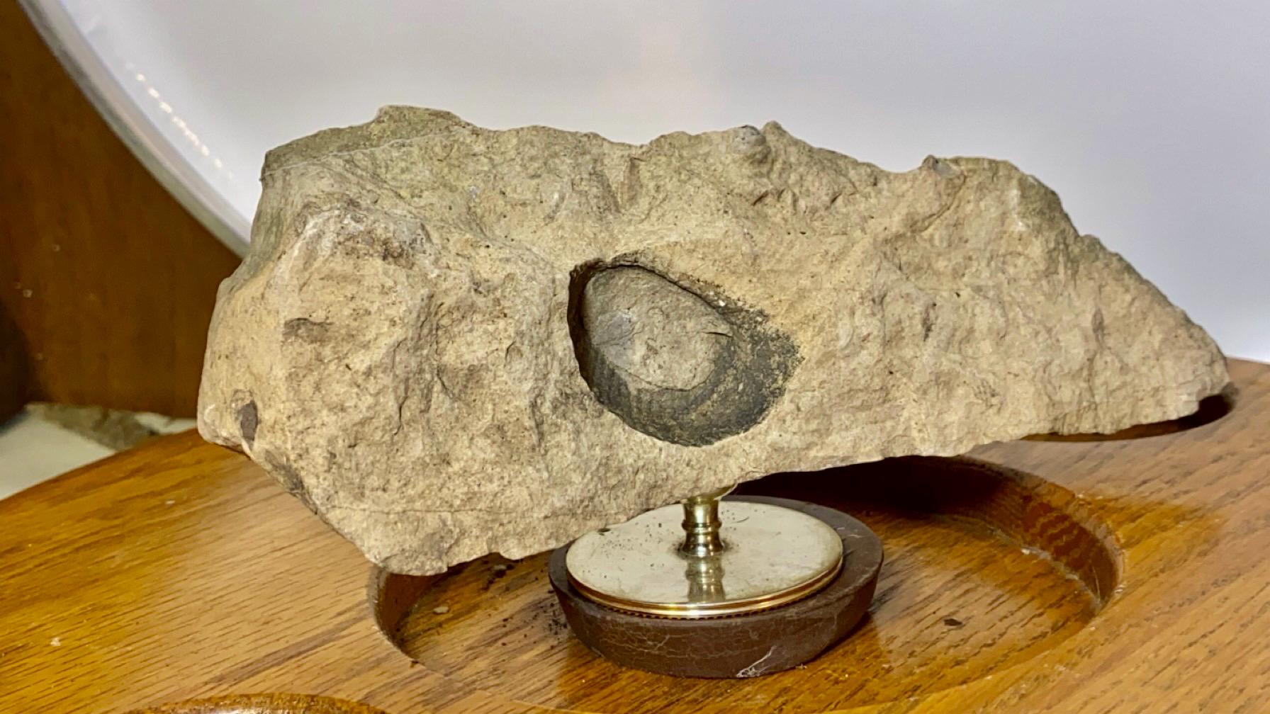 Native American Fossilized Axe Blade Scraper Multi Tool - Etsy