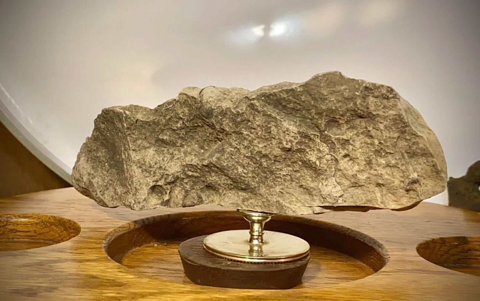 Native American Fossilized Axe Blade Scraper Multi Tool - Etsy