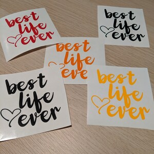 Best Life Ever Vinyl Decal - Etsy
