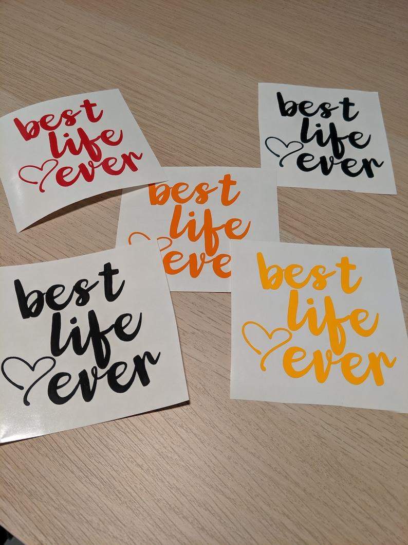 Best Life Ever Vinyl Decal | Etsy