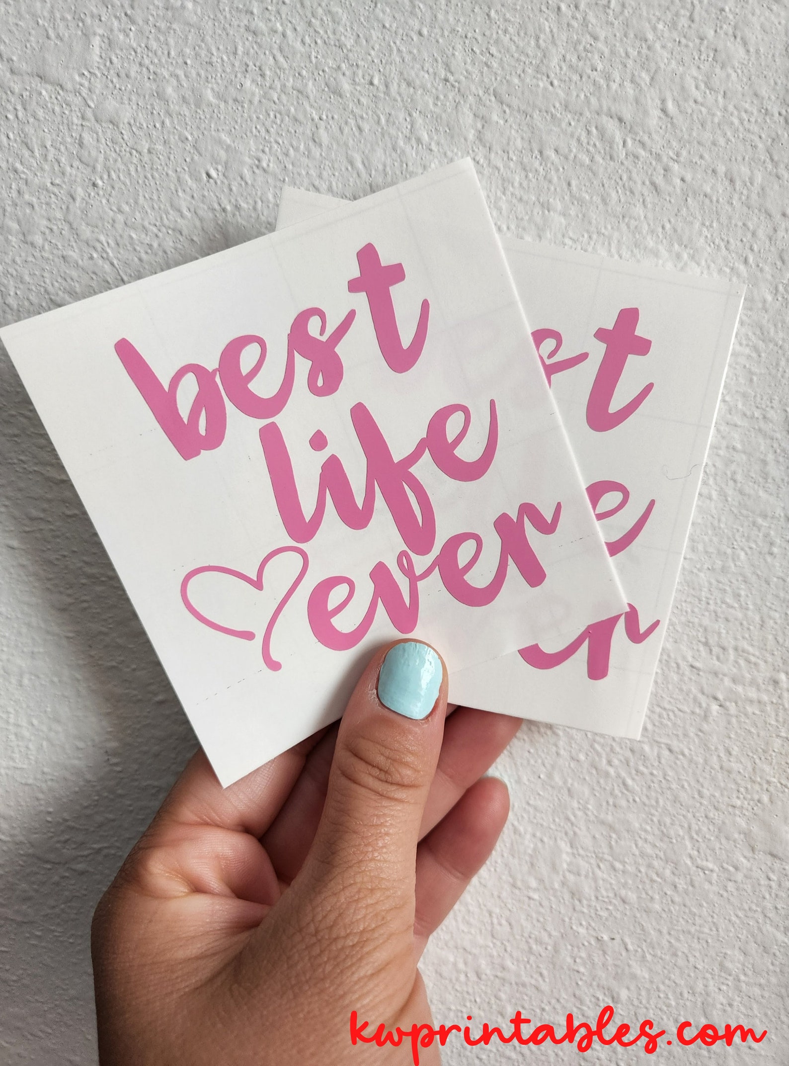 Best Life Ever Vinyl Decal - Etsy
