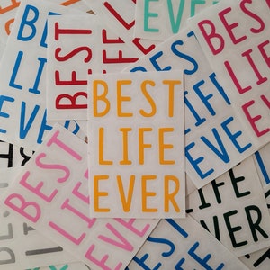 Best Life Ever Vinyl Decal - Etsy