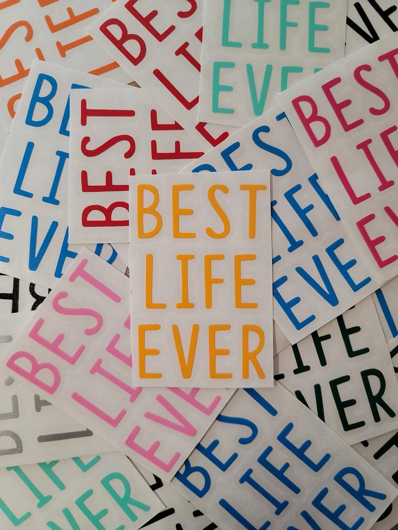 Best Life Ever Vinyl Decal - Etsy