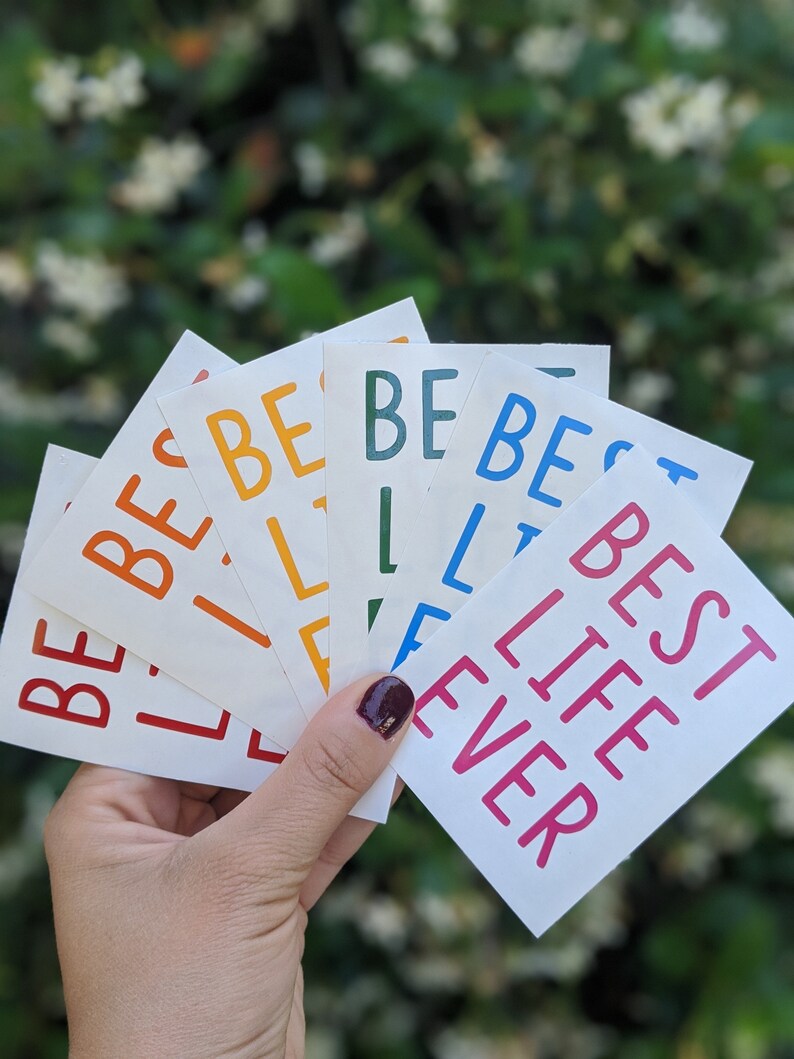 Best Life Ever Vinyl Decal - Etsy