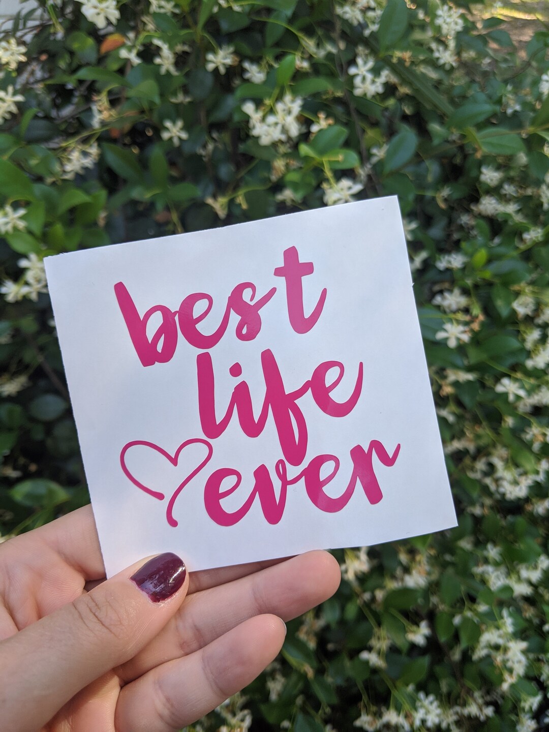 Best Life Ever Vinyl Decal - Etsy